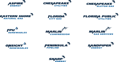 Welcome - Florida City Gas