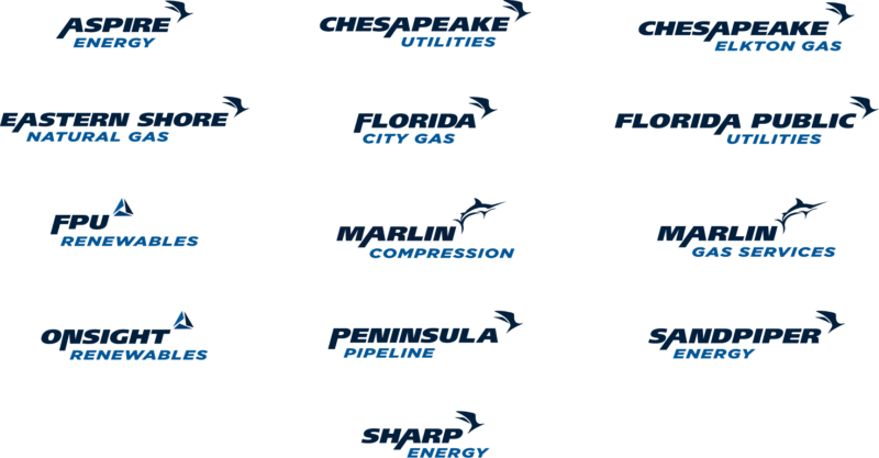 Welcome - Florida City Gas