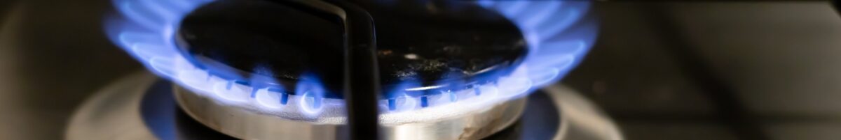 Supplier Choice - Florida City Gas